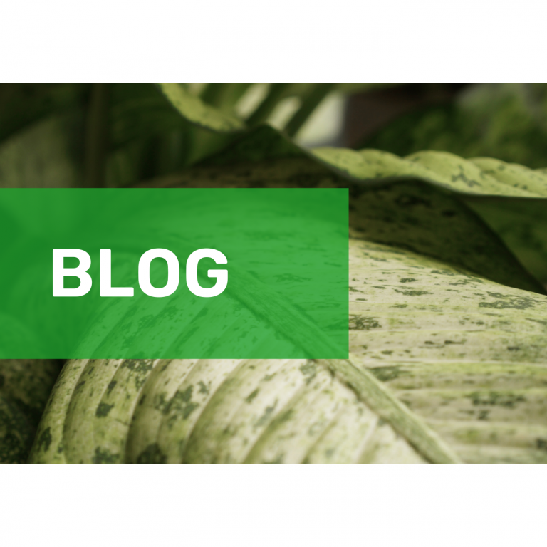 Simply Sustainable Finance: Understanding the Do-No-Significant-Harm ...