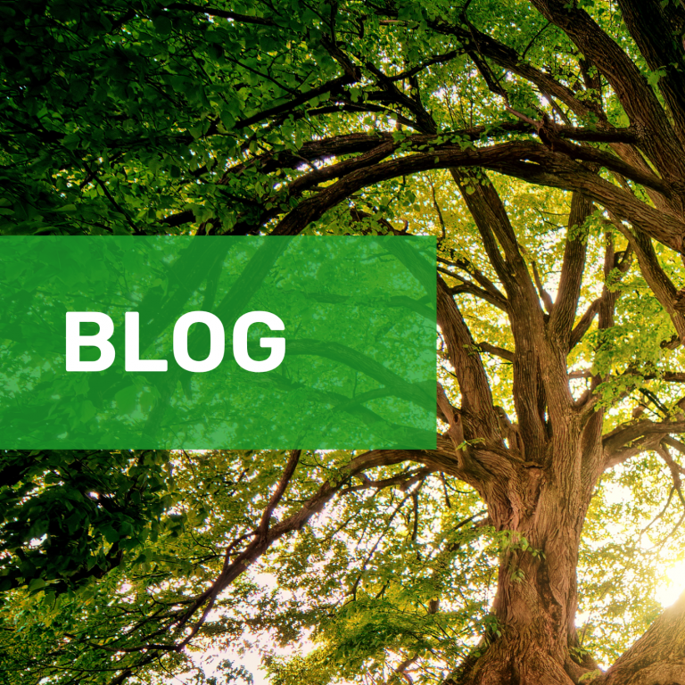 EBA Consultation Paper on ITS on Disclosures on ESG risks, Equity ...